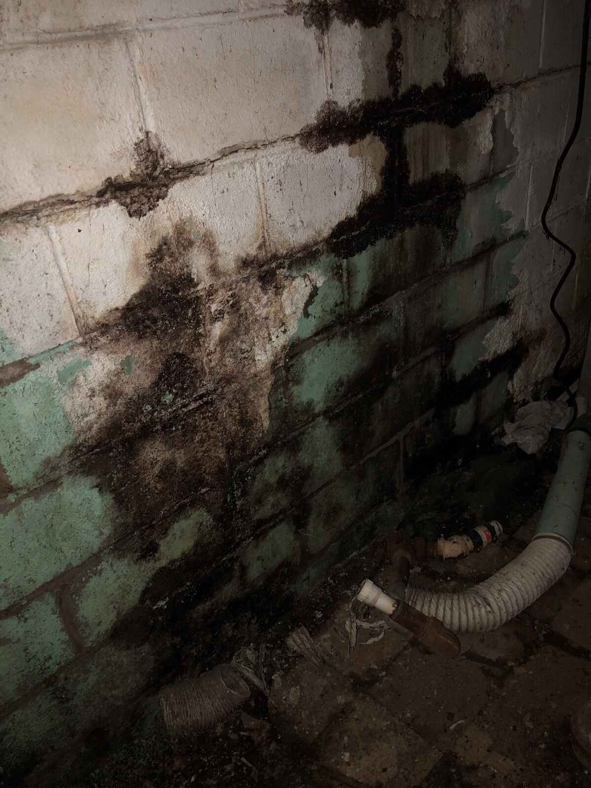 Why Having Functional Gutters and Downspouts Is So Important ...